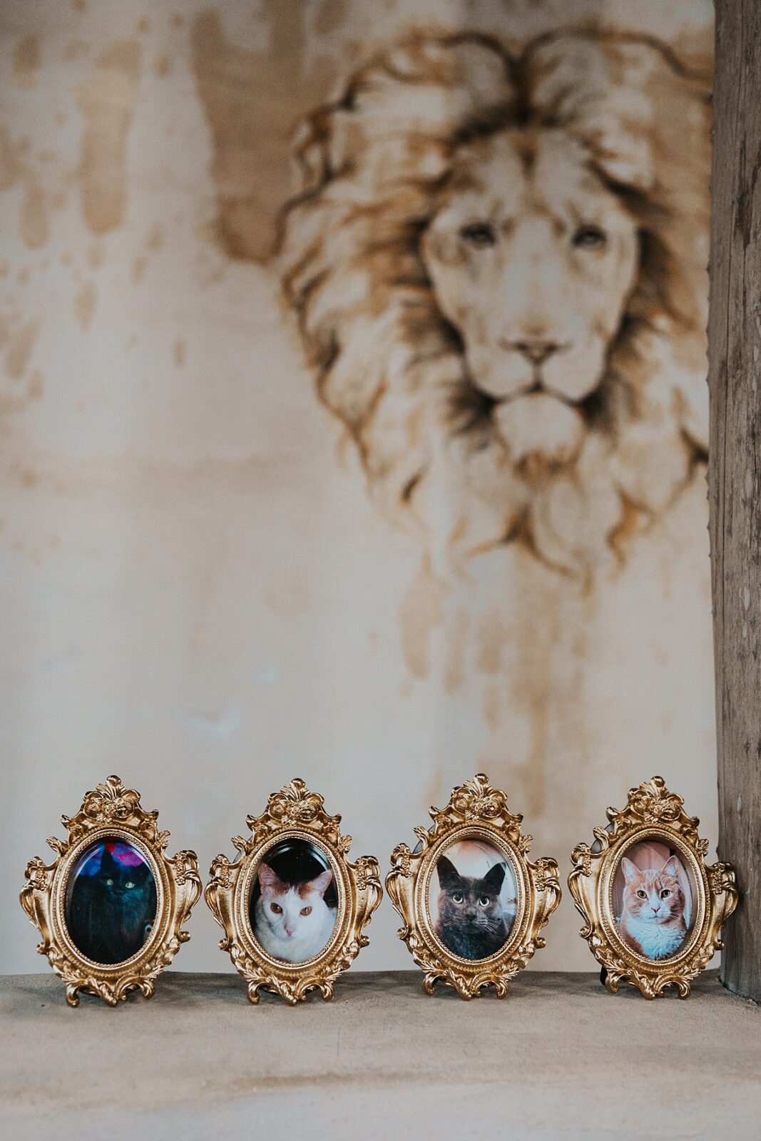 Castle Otttis Wedding: A Wildly Romantic Castle Elopement - Anna Holden ...